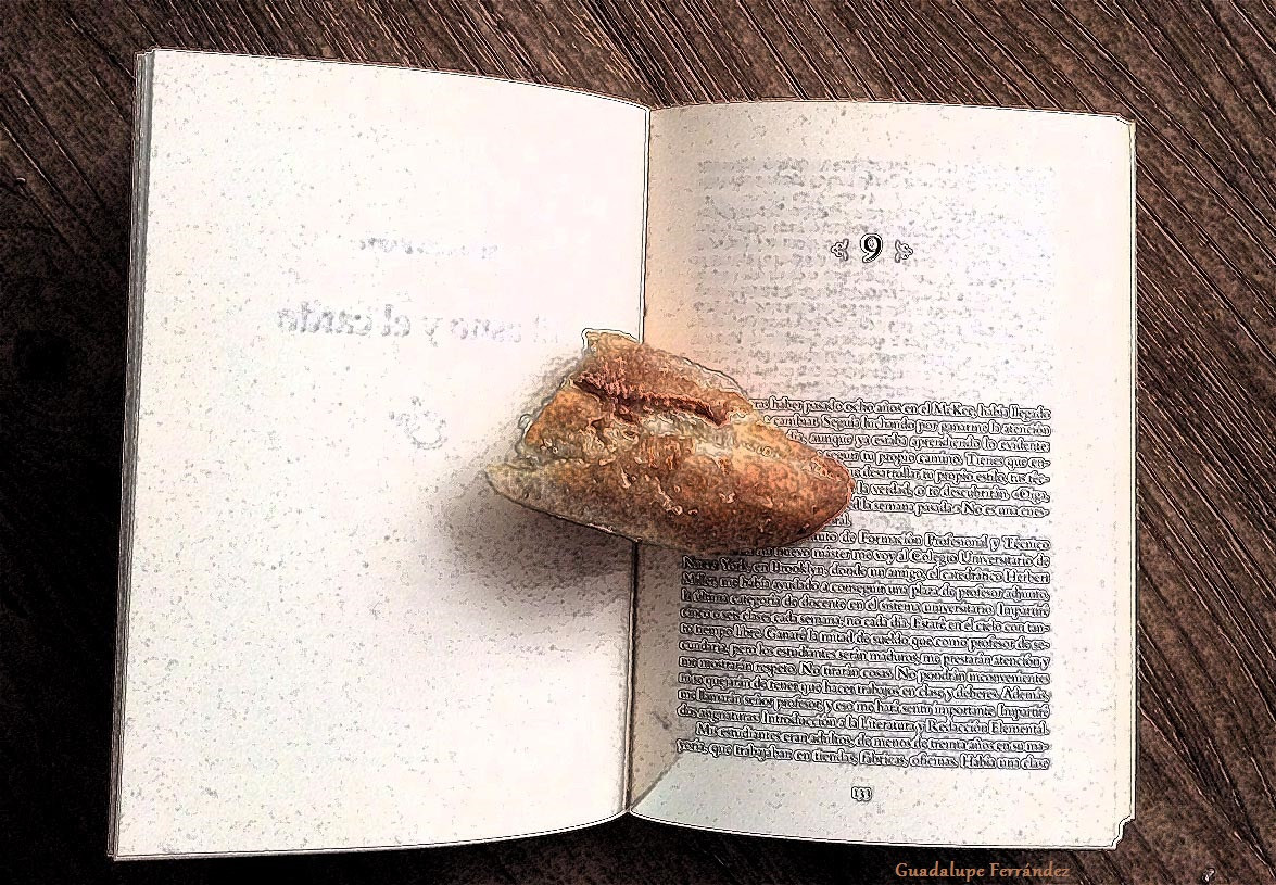 Medio pan y un libro… Federico García Lorca – El Chasque
